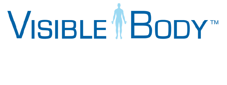 Visible Body - Biblioteca Universidad Icesi